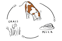Bungay Butter | UK's Only Raw Cultured Farmhouse Butter | Fen Farm Dairy