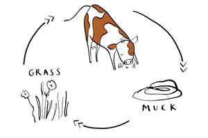 Bungay Butter | UK's Only Raw Cultured Farmhouse Butter | Fen Farm Dairy