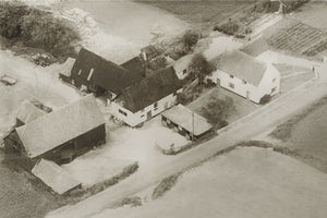 The Fen Farm Story - From Supermarket Milk to Award-Winning Cheese ...