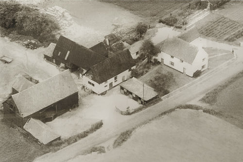 The Fen Farm Story - From Supermarket Milk to Award-Winning Cheese ...