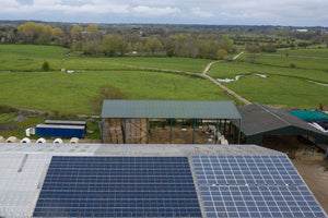The Fen Farm Story | From Supermarket Milk to Award-Winning Cheese ...