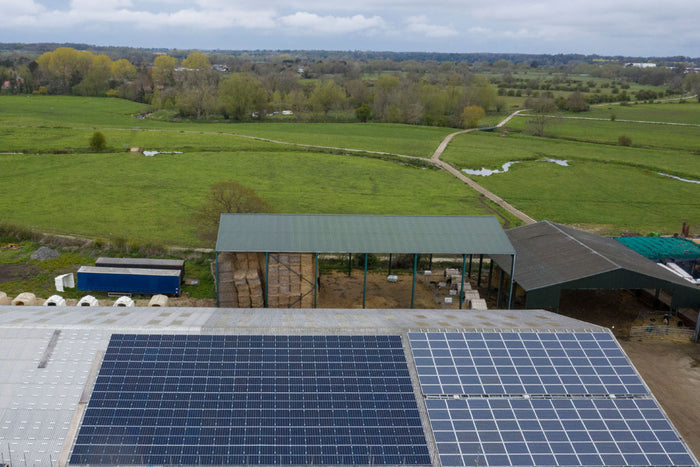 The Fen Farm Story - From Supermarket Milk to Award-Winning Cheese ...