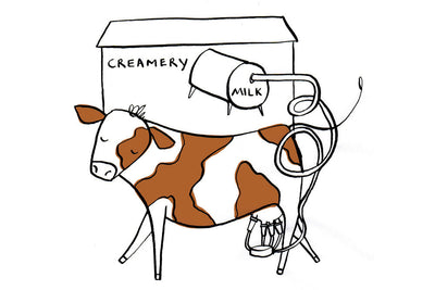 Bungay Butter | UK's Only Raw Cultured Farmhouse Butter | Fen Farm Dairy