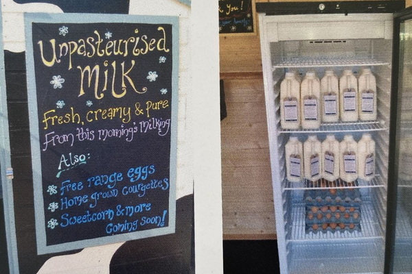 The Fen Farm Story - From Supermarket Milk to Award-Winning Cheese ...